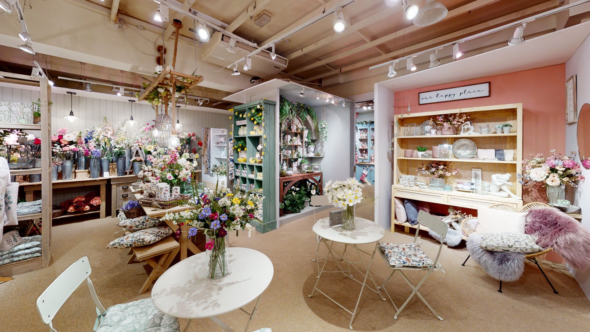 Gisela Graham - Digital Scanning Group